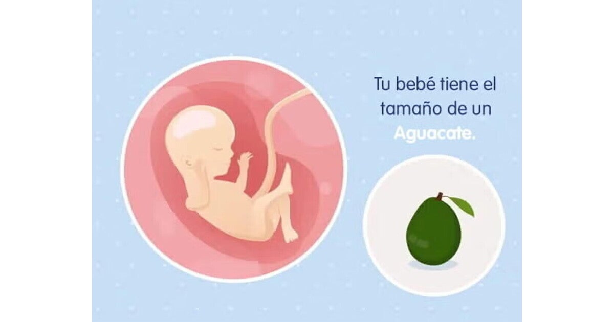 16 semanas de embarazo: tu semana a semana | Nestlé FamilyNes