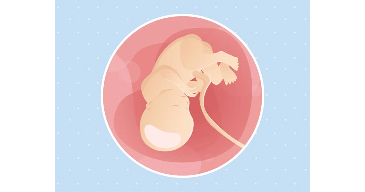 36 semanas de embarazo: tu semana a semana | Nestlé FamilyNes