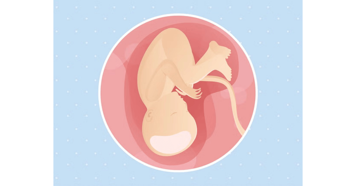 37 semanas de embarazo: tu semana a semana | Nestlé FamilyNes